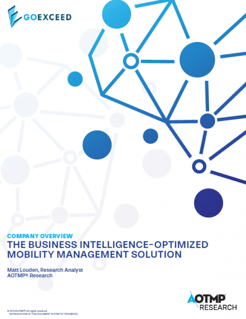 GoExceed | Company Overview Whitepaper